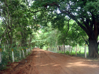 Venture Pal Advs: Amirthi Forest, Vellore